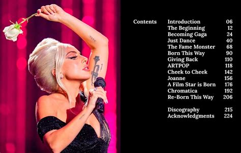 Lady Gaga Applause Annie Zaleski
