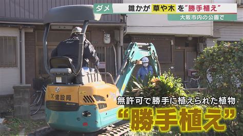 誰が植えたか「勝手植え」 公園に管理外の植物が 撤去のため1年間で98件に税金を投入 子供たちがけがをする恐れも 良かれと思って”が法律