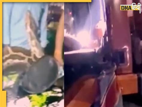 8 फुट के अजगर ने ट्रक और बाइक पर ले ली लिफ्ट वीडियो देखते ही उड़