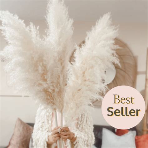 4ft Tall Pampas Grass Everlasting Flowers Stems Boho Home Wedding
