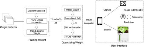 Three Stage Pipeline Pruning Quantisation And Deployment Pruning The