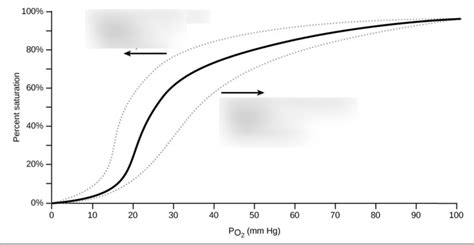 Diagram Of Oxyhaemoglobin Dissociation Curve Quizlet