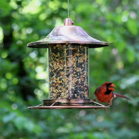 Perky Pet Copper Panorama Wild Bird Feeder 2 Lb