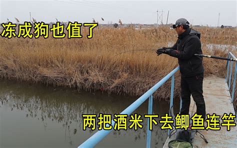 冬季砸冰钓鱼，两把酒米下去鲫鱼连竿，这个鱼情冻成狗也值了哔哩哔哩bilibili