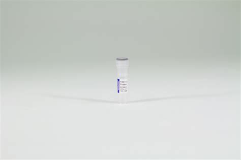 Hibit Control Protein Nerliens Meszansky As