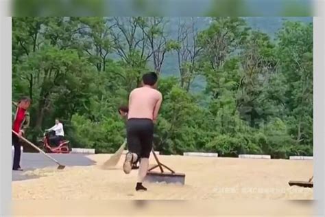 女子第一次带男朋友回家收麦子跟打鸡血一样锄头都要推冒烟了
