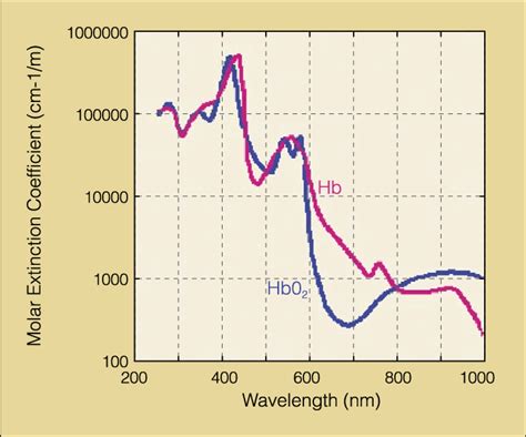 The Absorption Spectra Of The Oxygenated And Deoxygenated Hemoglobin Download Scientific