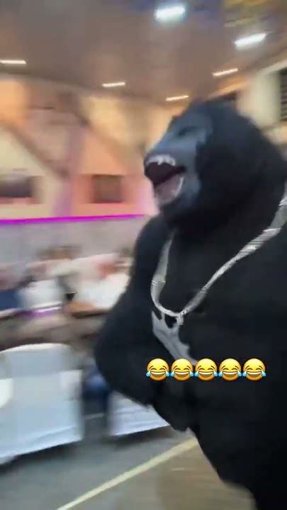 هيها الغوريلا هيها وداخله عملت اي كده 😂💪 الغوريلا اكسبلور باندا ضحك