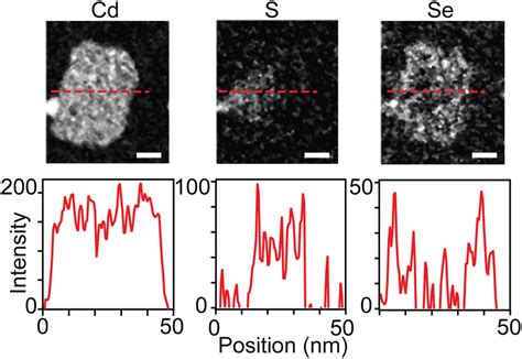 Elemental Analysis Of Graded Cdscdse Corecrown Nanoplatelets Using