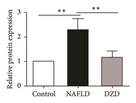 Dzd Intervention Activated The Tlr4 Signaling Pathway Of The Ileum The Download Scientific