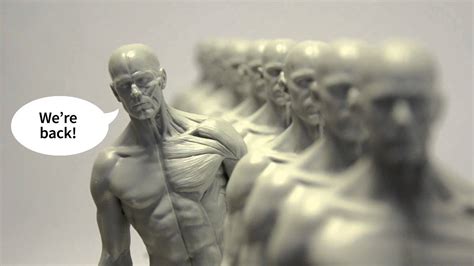 Back In Stock 3dtotal Anatomy Figure Youtube