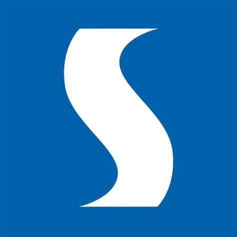 Saviynt By Saviynt Inc