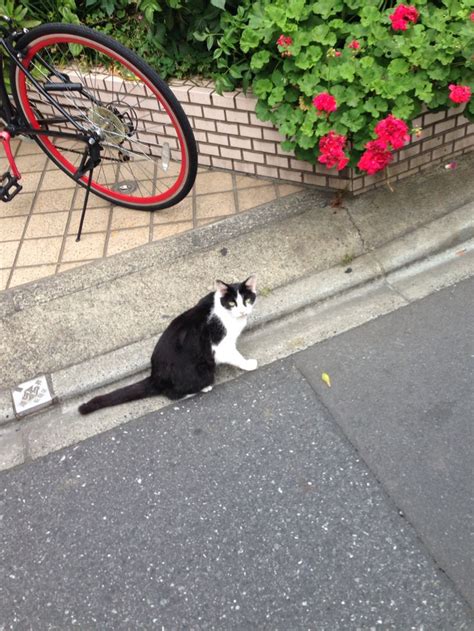 見てんじゃねーよ。