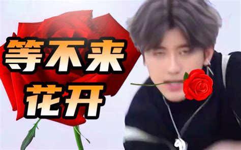“坤坤的罪，只因你太美！” 哔哩哔哩