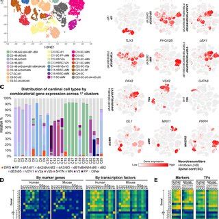 Unbiased NMF Based Clustering Validated By Global Similarities Between
