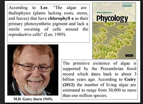 Algae And There Classification Based On Different Features Structure Biological Systems Ppt
