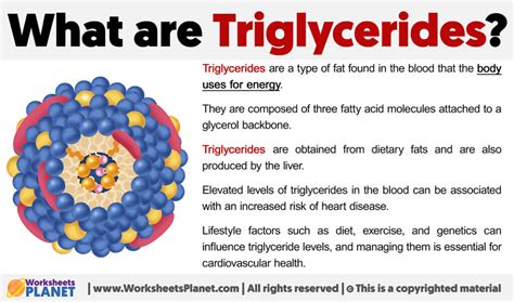 What Are Triglycerides