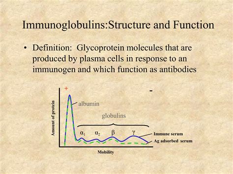 Lec Immunoglobulins PPTX Blood Disorders Diseases And Conditions