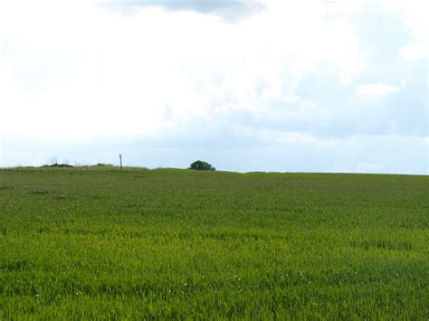 Green Meadow Nature Free Photo On Pixabay Pixabay
