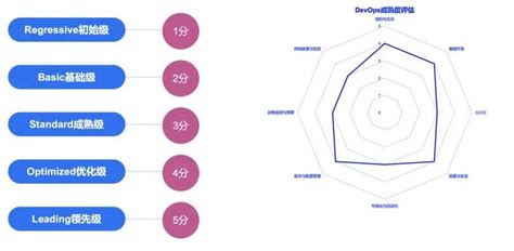 腾讯云颜松柏：详解devops成熟度模型与效能度量 小雨青年 code metaverse