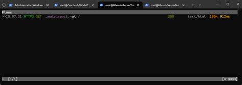 Mastering The Mitmproxy Mitm Interactive Proxy On Linux
