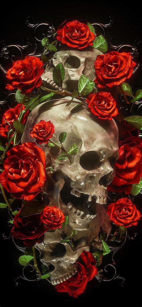 Skull And Roses Wallpaper Hd