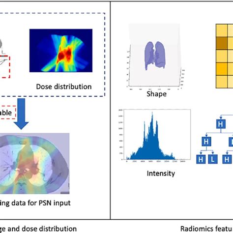overall preprocess workflow of feature extraction ct image and dose