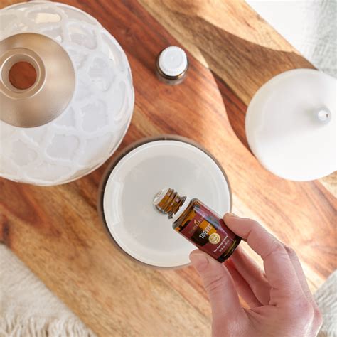 Desert Mist Ultrasonic Diffuser Grow Live Thrive