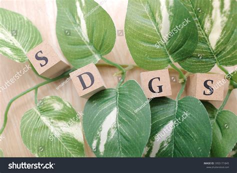 Стоковая фотография 1955171845 Sustainable Development Goals Sdgs Sdgs
