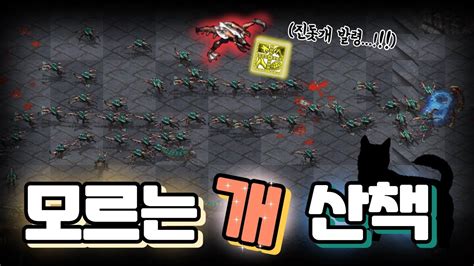 🚨국지도발🚨 헬창 킹글링🐕으로 진돗개 발령⚠ Youtube