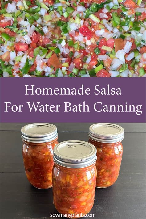 Zesty Salsa Recipe For Canning Receita Em 2024