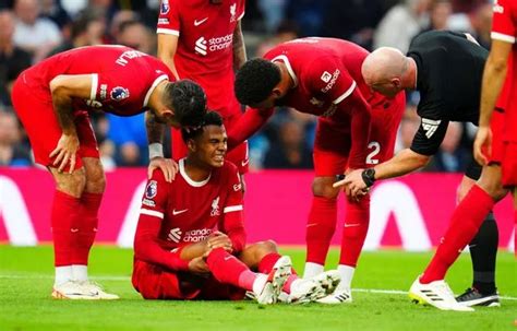 Cody Gakpo Injury Update Liverpool Discover Extent Of Strikers