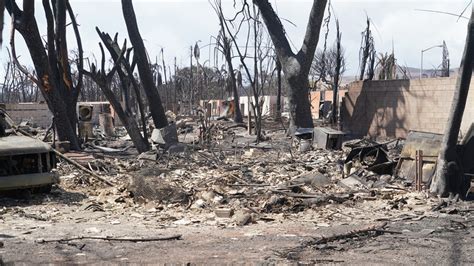 Maui Wildfire Devastation Exposes The Legacy Of Colonialism Peoples