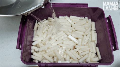 시원한 여름 물김치 깔끔한 여름 동치미 담그는 법