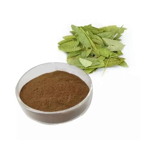 Brown Senna Extract 10 Packaging Type Pp Bag Packaging Size 50 Kg At Rs 550 Kg In Bhachau