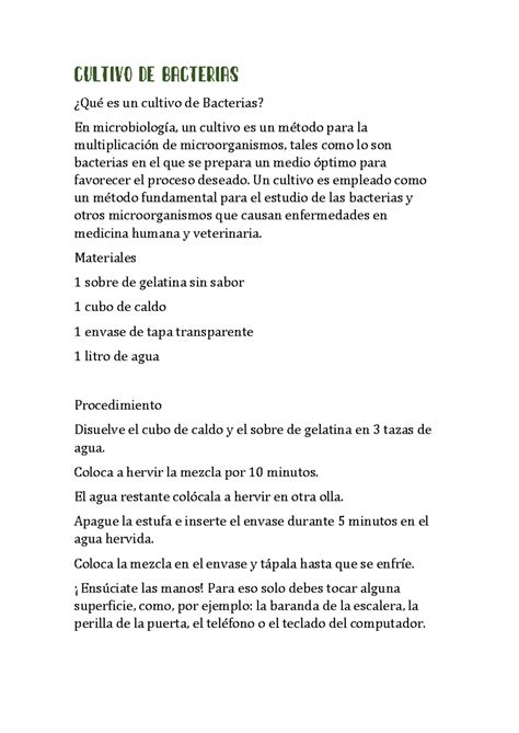 Cultivo De Bacterias Cultivo De Bacterias ¿qué Es Un Cultivo De