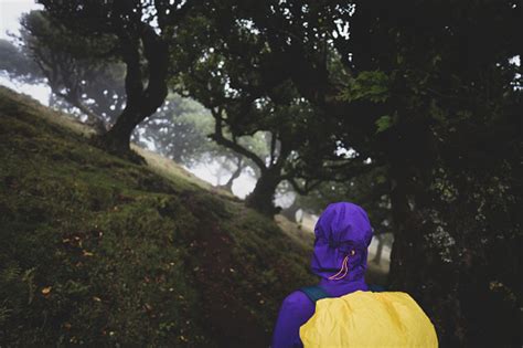 거대한 월계수 나무가 있는 신비로운 안개 낀 숲의 등산로에서 방수 옷을 입은 배낭 여행자의 뒷모습 Fanal Forest