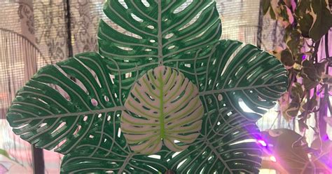 MonSTARa Tree Topper By Ethan A Download Free STL Model Printables Com