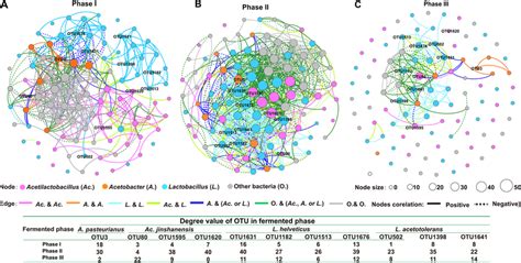 The Co Occurrence Patterns Among The Top 100 Abundant Otus In Three Download Scientific Diagram