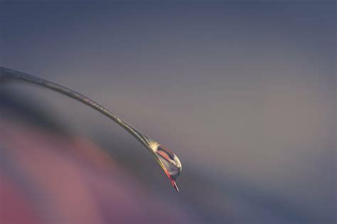 Tears 1080p 2k 4k 5k Hd Wallpapers Free Download Wallpaper Flare