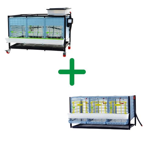 Breeding Chicken Starter Kit Countryside