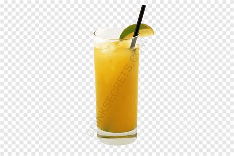 드라이버 하비 Wallbanger 바카디 칵테일 보드카 드라이버 레시피 테크닉 Png Pngegg