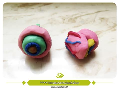 ساخت ماکت چشم ویژه‌ی دانش‌آموزان پایه‌ی پنجم