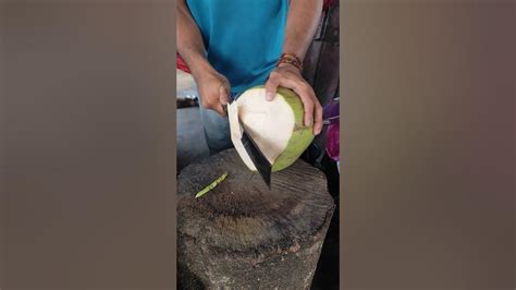 Fresh Coconute Coconute Fruit Kelapa Kelapamuda Coconut Youtube