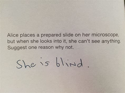 50 Of The Sassiest And Funniest Test Answers New Pics Bored Panda