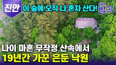 전북 진안 인생의 중반 마흔 무작정 산골로 들어와 19년째 혼자 사는 여자 홀로 첩첩산중 은둔 생활 즐기는 자연인 한국기행 방방곡곡 Youtube