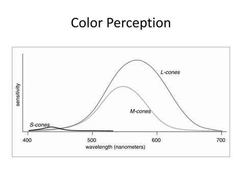 Ppt Light Color And Perception Powerpoint Presentation Free Download