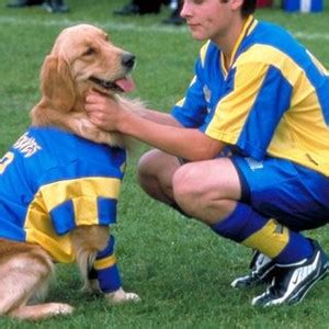 Air Bud World Pup Rotten Tomatoes