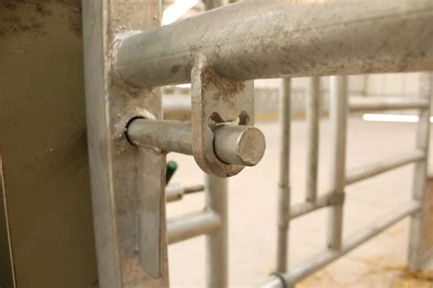 5 Bar Square Gate End Teemore Engineering Livestock Housing Specialists