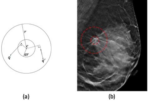 A Nested Circles Are Used To Calculate The Convergence Of The Central